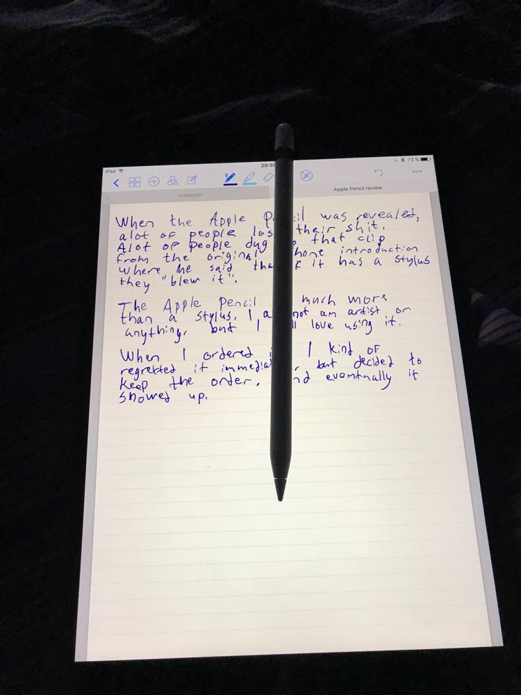 My Apple Pencil Review Lambdan se